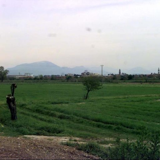 Nuovo stadio, progetto in un mese E sarà compreso pure il Palazzetto ...