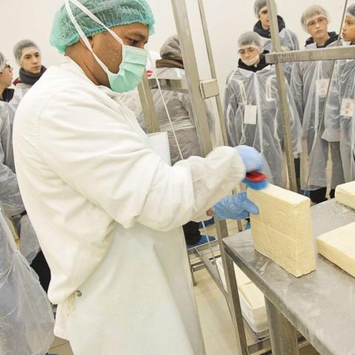Il Taleggio Arrigoni piace al Giappone - Rubriche Enogastronomia