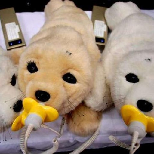 Contro l'Alzheimer anche «Paro» Una foca robot aiuta gli anziani - Cronaca