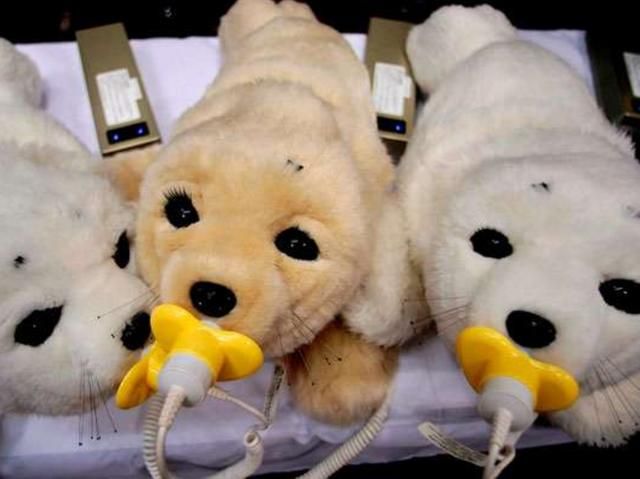 Contro l'Alzheimer anche «Paro» Una foca robot aiuta gli anziani - Cronaca