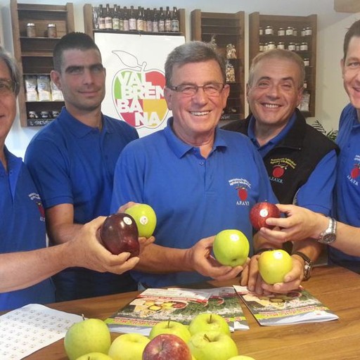 Mele di Arlecchino regine dalla sagra Degustazioni, spettacoli e L’Eco ...