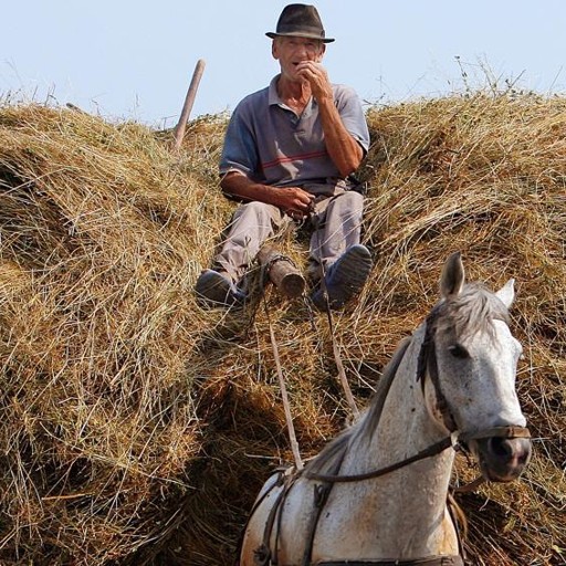 Il contadino batte la globalizzazione Un italiano su 4 fa la spesa in ...