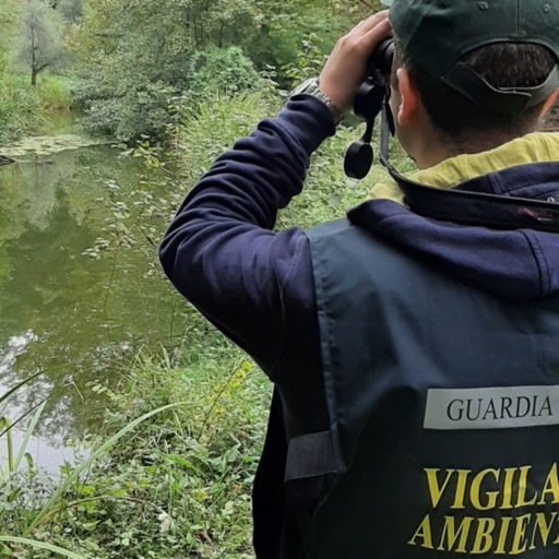Misma, filma un abuso edilizio Guardia del Wwf presa a calci e morsi ...