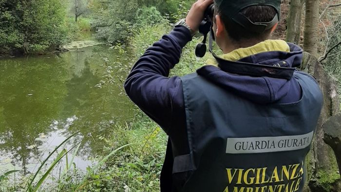Misma, filma un abuso edilizio Guardia del Wwf presa a calci e morsi ...
