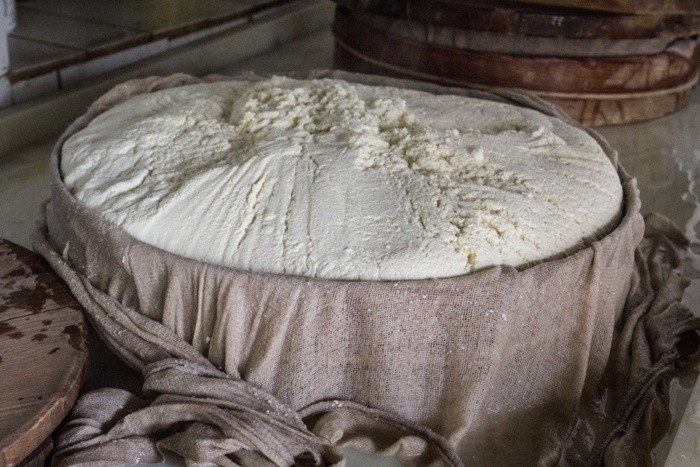 Bitto, il formaggio storico e “ribelle” prodotto dai giovani - Eppen Cibo