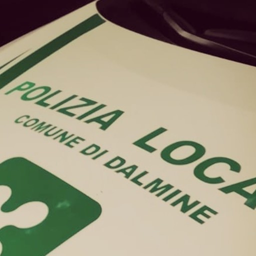La patente rilasciata a Miami? Falsa Dalmine, oltre 400 di multa per un ...
