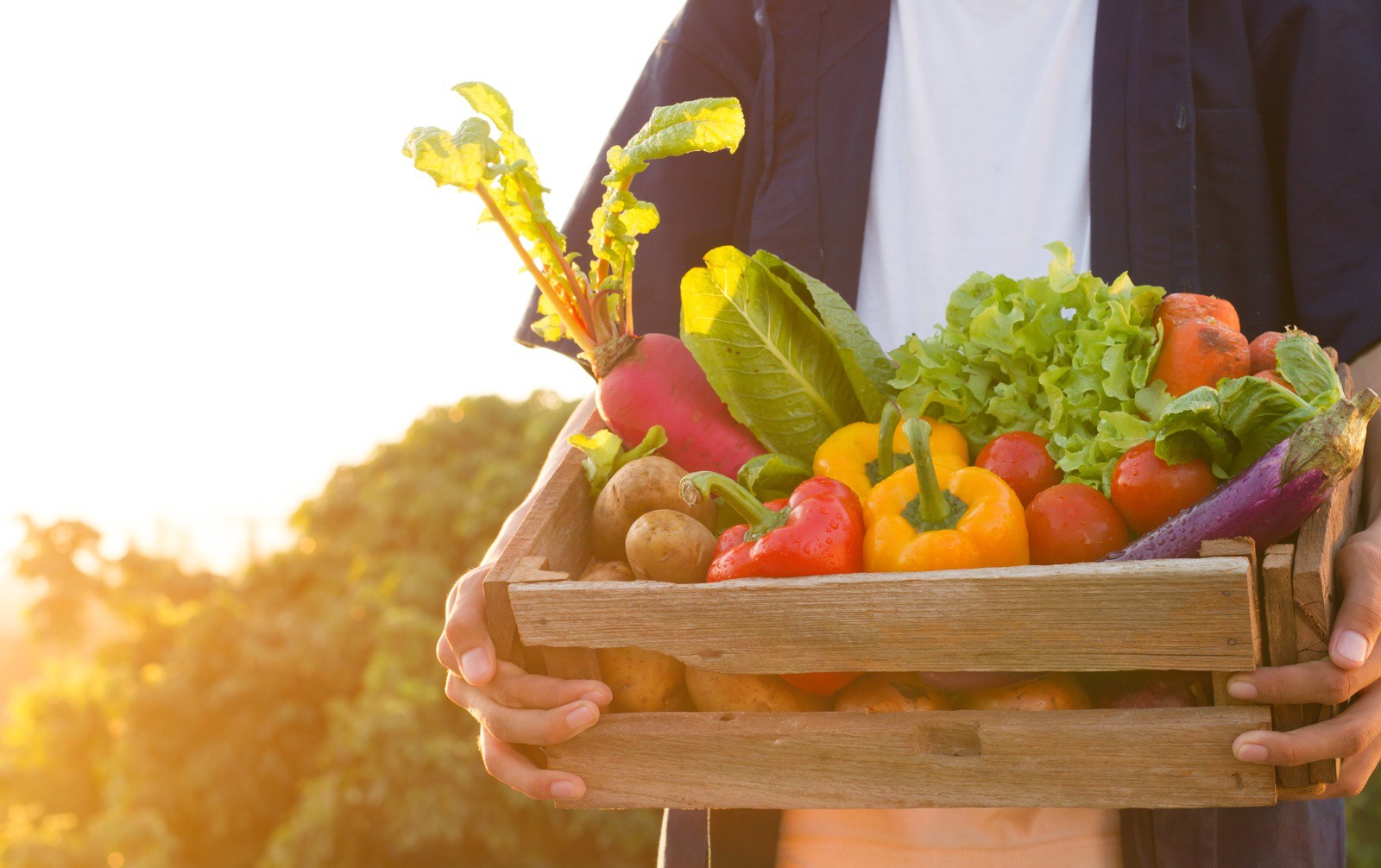 5 idee per utilizzare le verdure estive in modo creativo (nei primi piatti)