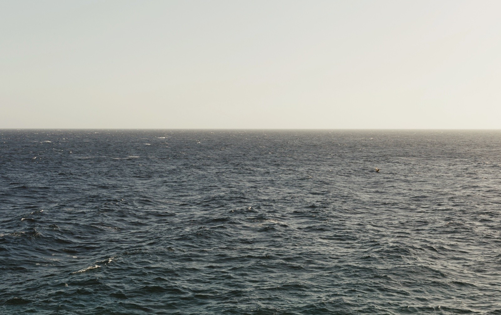 Mare padano plumbeo: “Bergamo e la marea” di Davide Maria De Luca