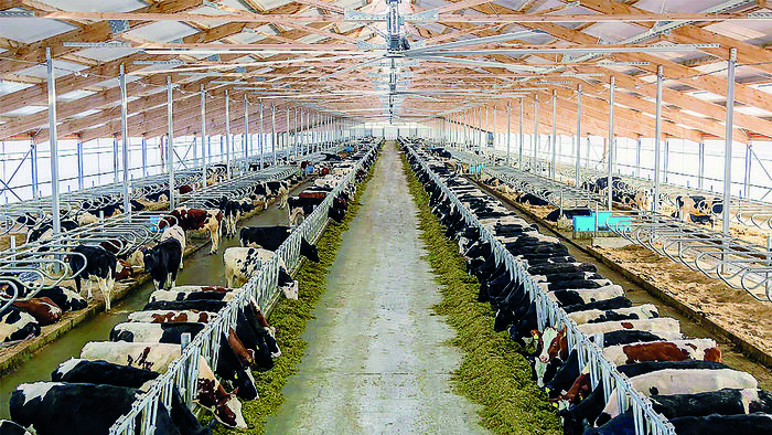 Stalle hi-tech, quando il benessere animale è garanzia di qualità