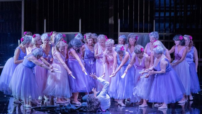 «La Favorite», il balletto con donne di ogni età esalta l’opera di ...