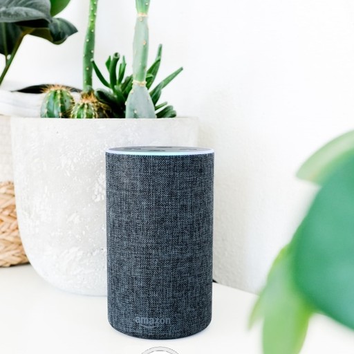 «Edicola in voce»: Alexa legge L’Eco di Bergamo a ciechi ed ipovedenti ...