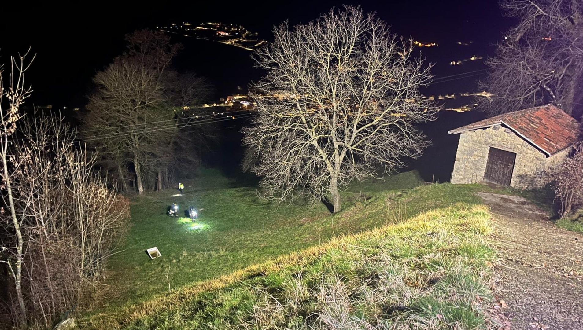 Travolto da una pianta che stava tagliando: muore a 67 anni - Cronaca ...