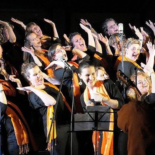 Gospel, a Chignolo il coro S. Antonio David’s Singers - Cultura e ...