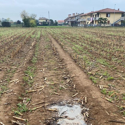 Verdello, identificato il cadavere mummificato nel campo - Cronaca ...