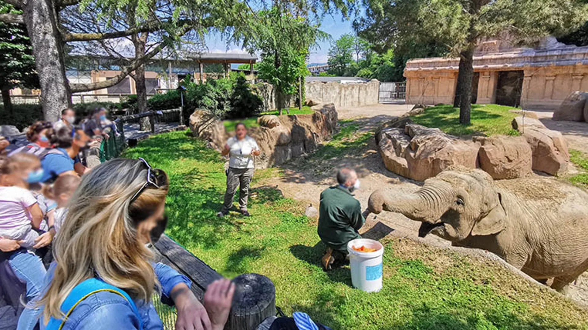 Le Cornelle: con «Educazoo» un viaggio nell’importanza della biodiversità