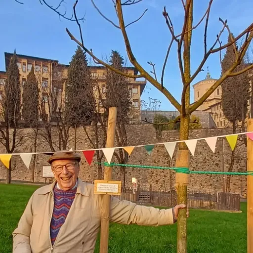 Per Nino Gandini un albero sulle Mura