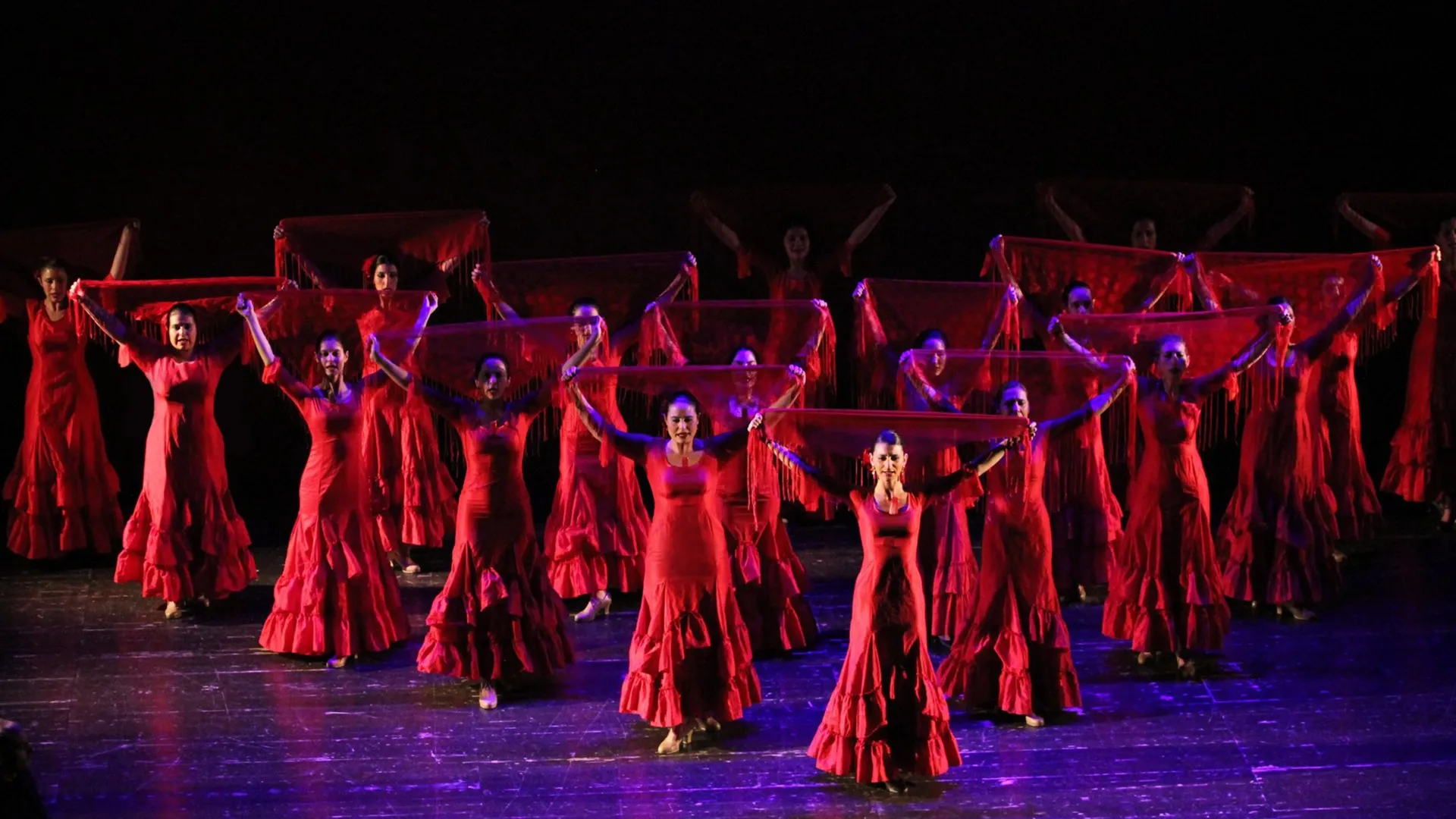 L’azzardo del flamenco, fra uomo e natura