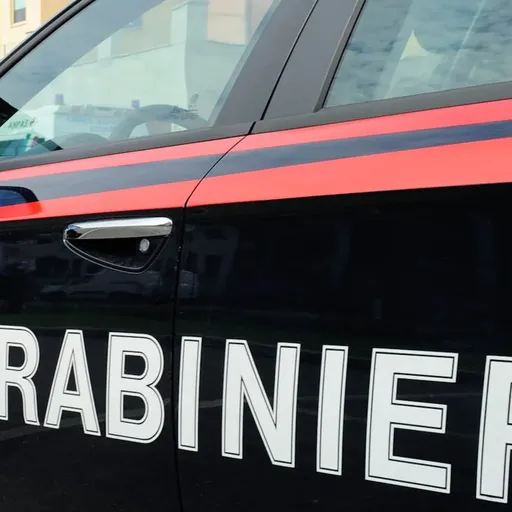 Disturbatore di frequenza per rubare: arrestato
