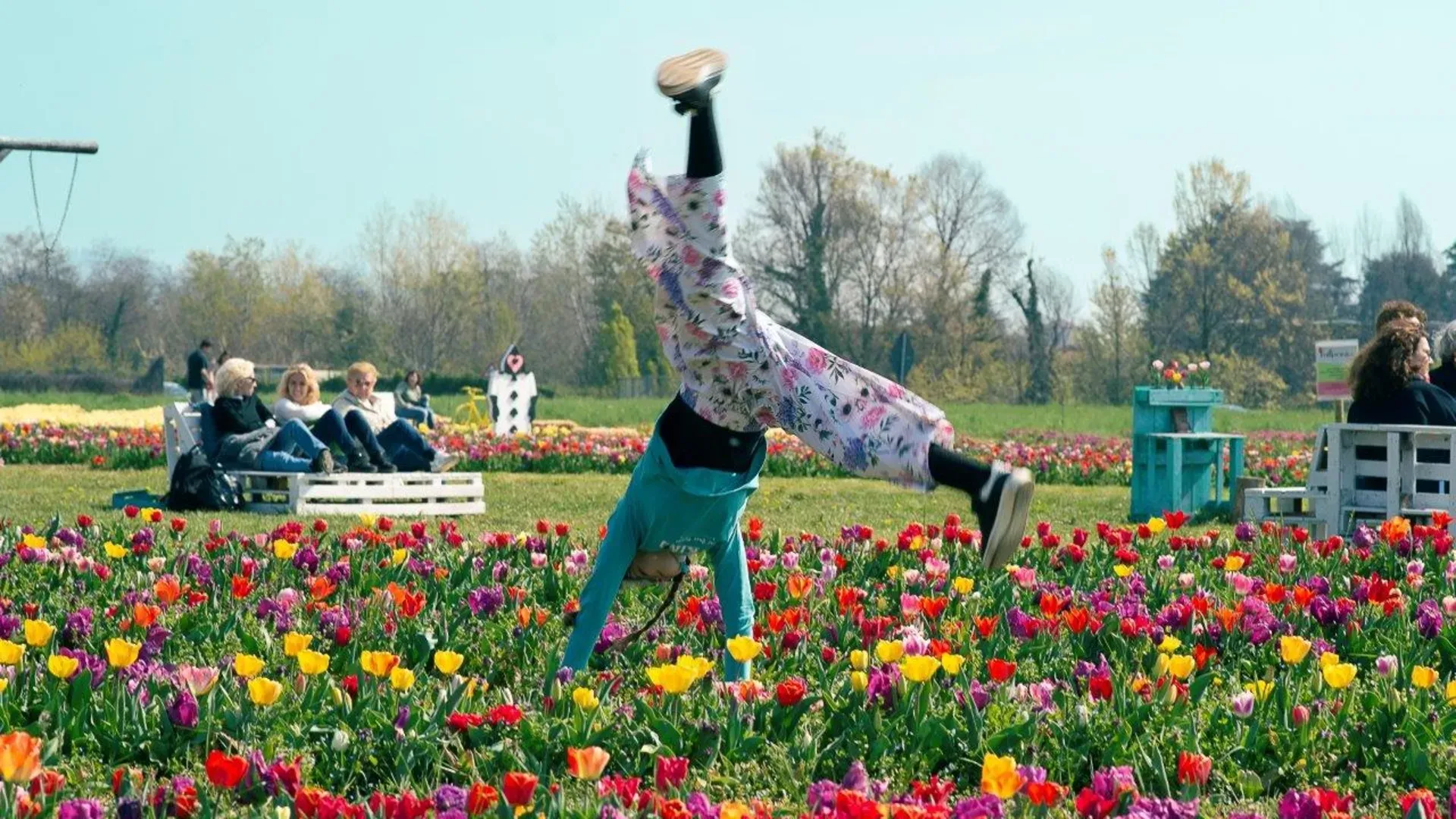 Con Tulipania blooming festival la primavera a casa
