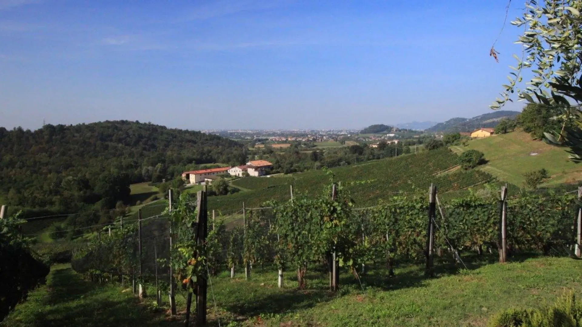«Evviva Valcalepio». Un weekend di vini bergamaschi