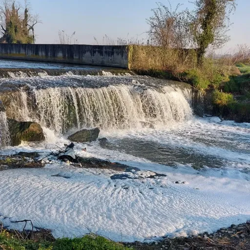 Schiuma nel canale della Gronda Sud a Moreng