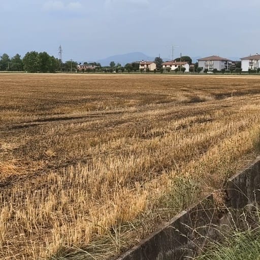 Incendio in un campo di Comun Nuovo: fieno in fiamme