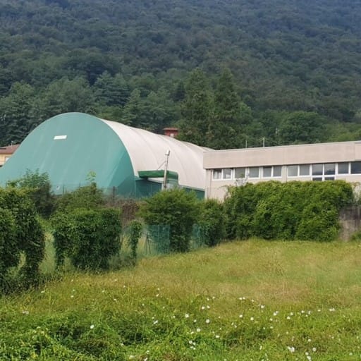 Albino, nuovo piano per la «Vigor»: niente palazzine ma 17 villette